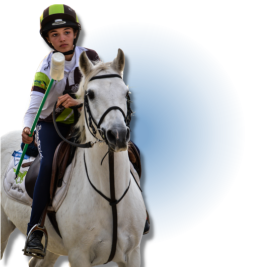 Espoirs Normandie Pony-Games - Comité Régional d'Equitation de ...